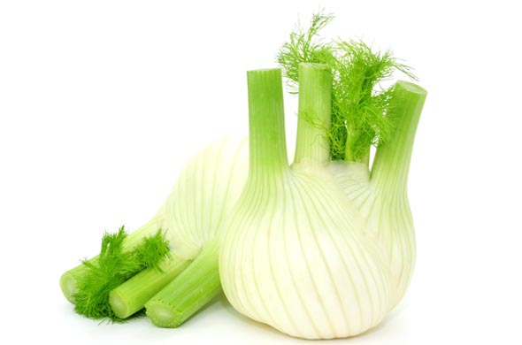 Le fenouil « Cuisine de bébé 👼