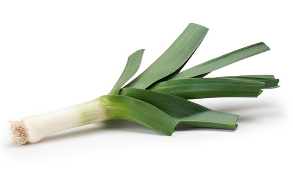 Le poireau « Cuisine de bébé 👼