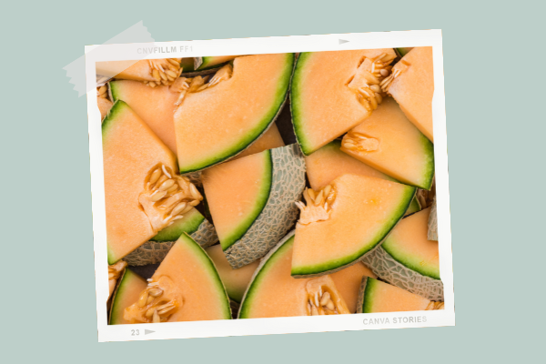 Le melon | Cuisine de bébé