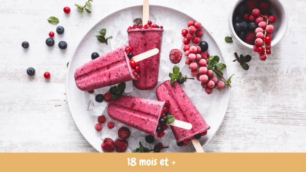 Sorbet aux fruits rouges | Cuisine de bébé