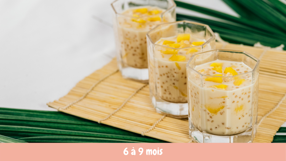 Petit pot de tapioca pour bébé | Cuisine de bébé