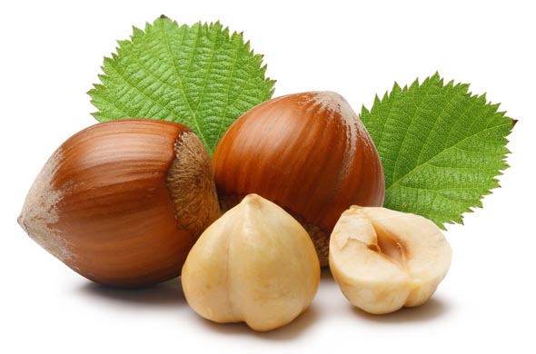 La noisette « Cuisine de bébé 👼